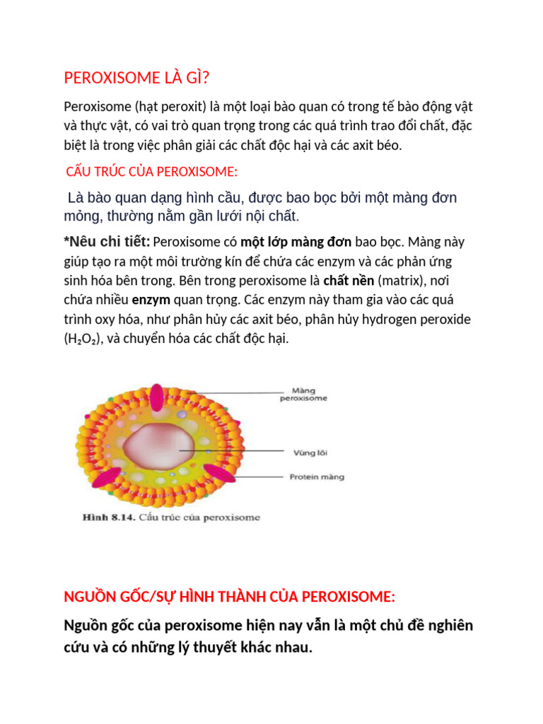 PEROXISOME | PDF