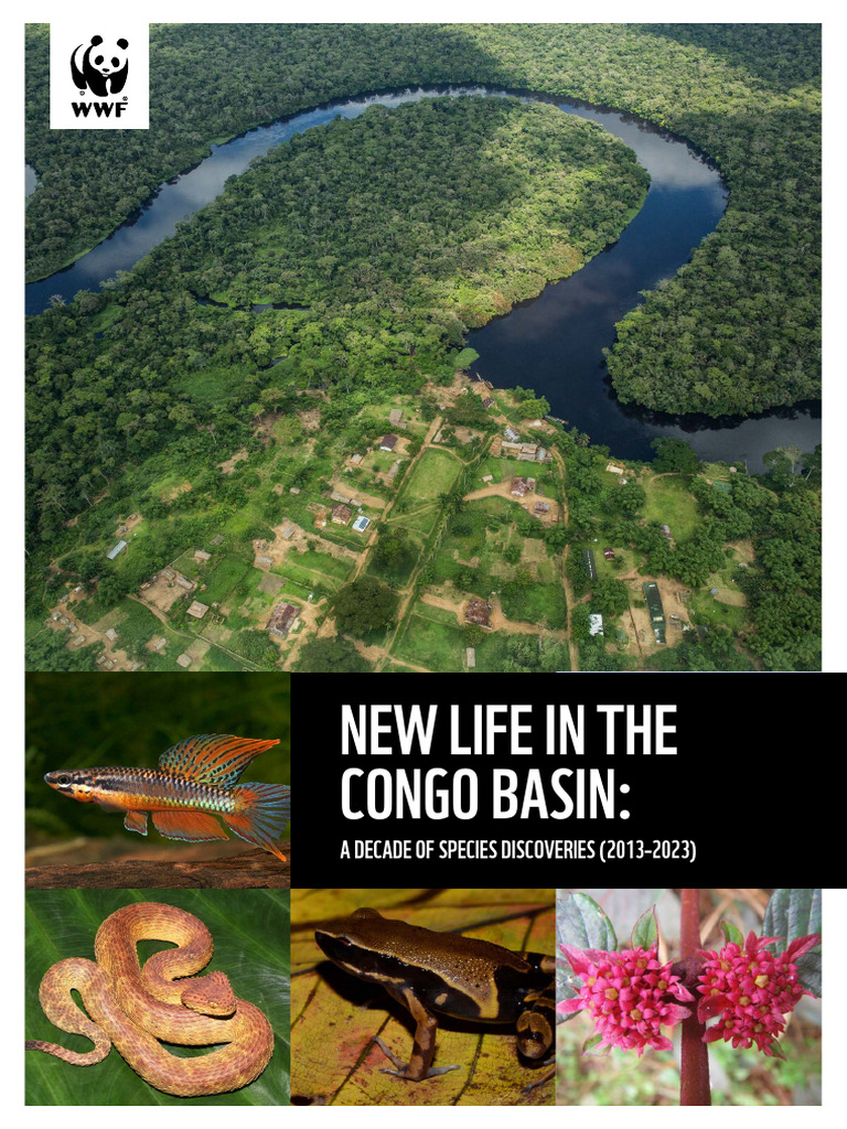 WWF Report New Life in The Congo Basin | PDF | Democratic Republic Of ...