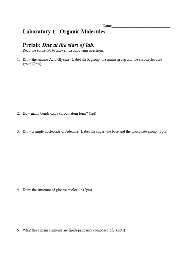 Organic Chemistry Lab Guide | PDF | Macromolecules | Nucleotides