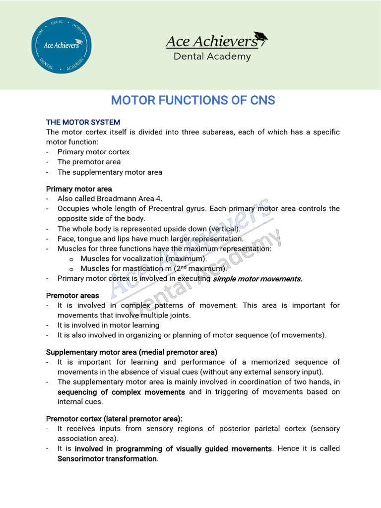 Motor Functions of CNS Explained | PDF | Cerebellum | Spinal Cord