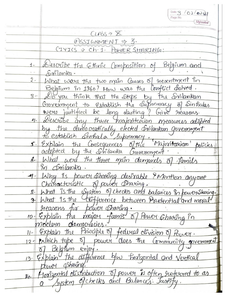 10 Civics Assignment Final | PDF