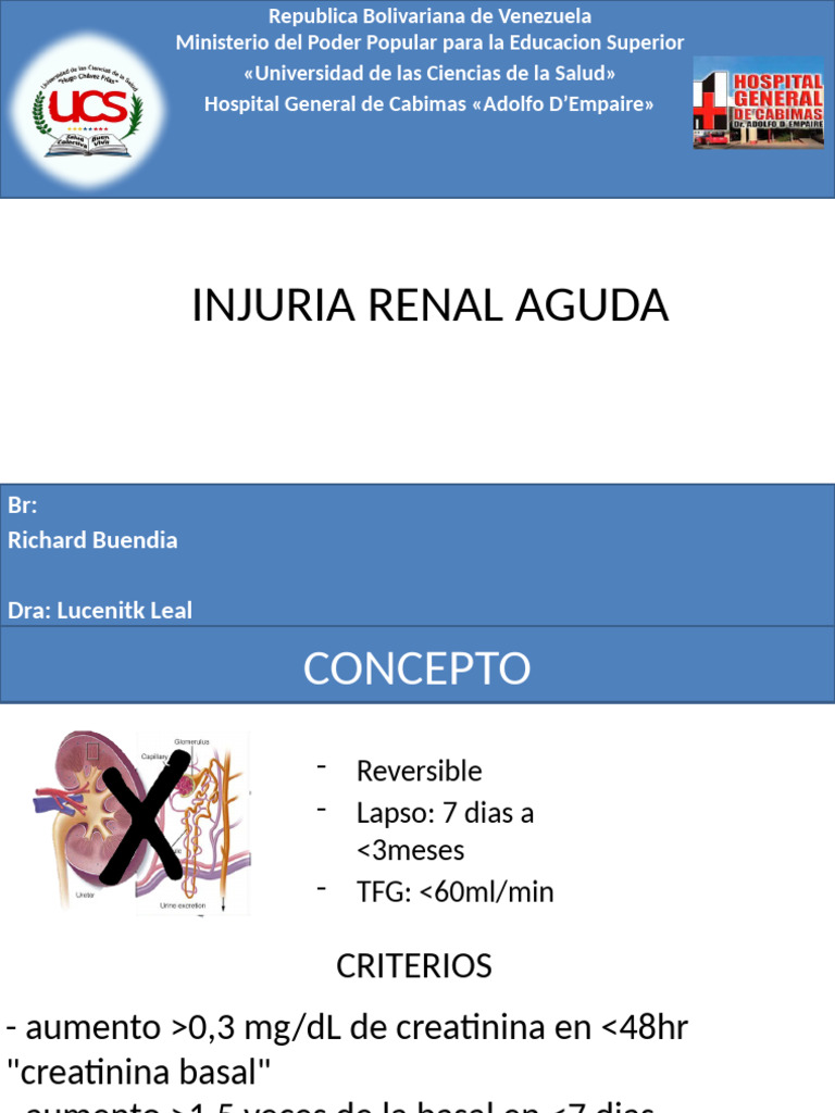 Injuria Renal Aguda: Guía Clínica | PDF | Sistema endocrino | Especialidades Medicas