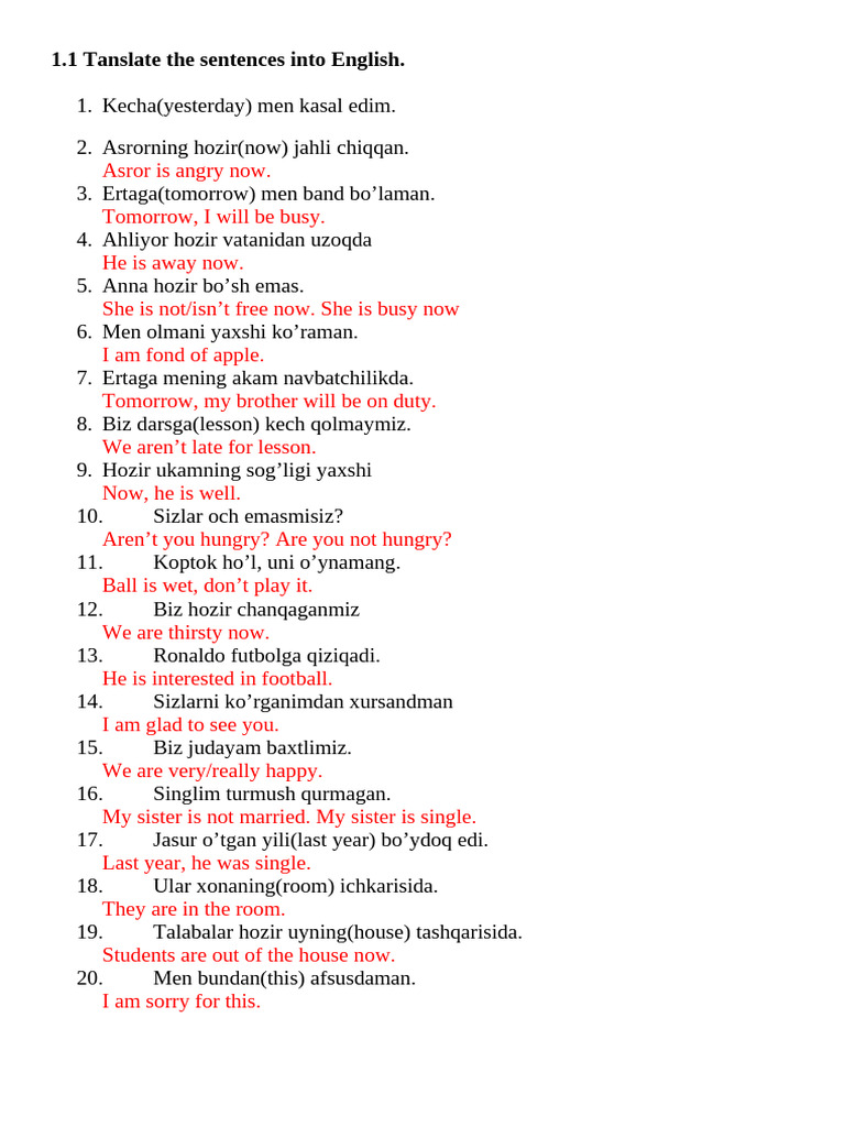 English Sentence Translation & Error Correction | PDF