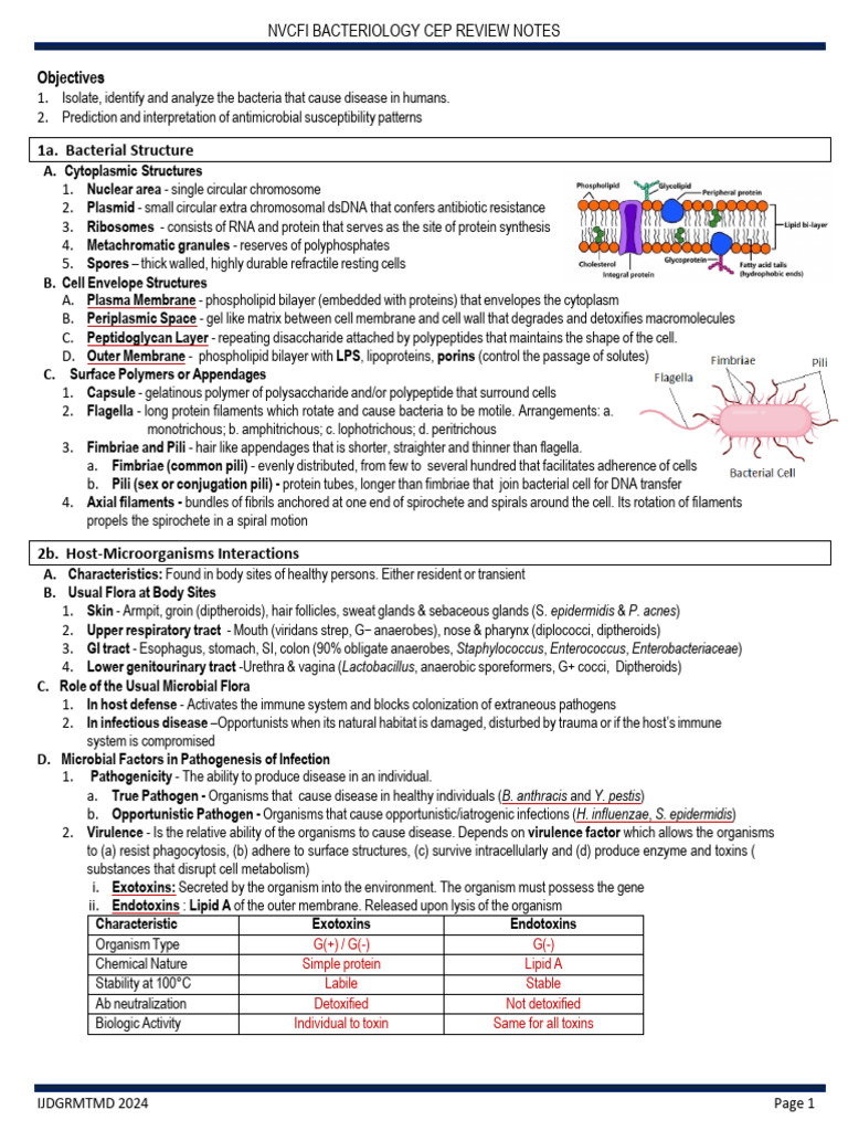 BACTERIOLOGY-REVIEWER-3RD-YEAR-FOR-BIND (1) | PDF | Streptococcus | Staining