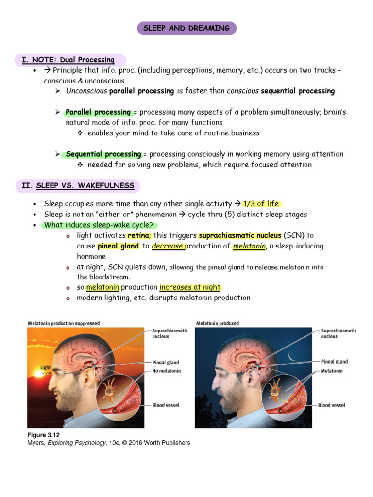 Ch. 3 Lecture Sleep and Dreaming | PDF | Sleep | Rapid Eye Movement Sleep