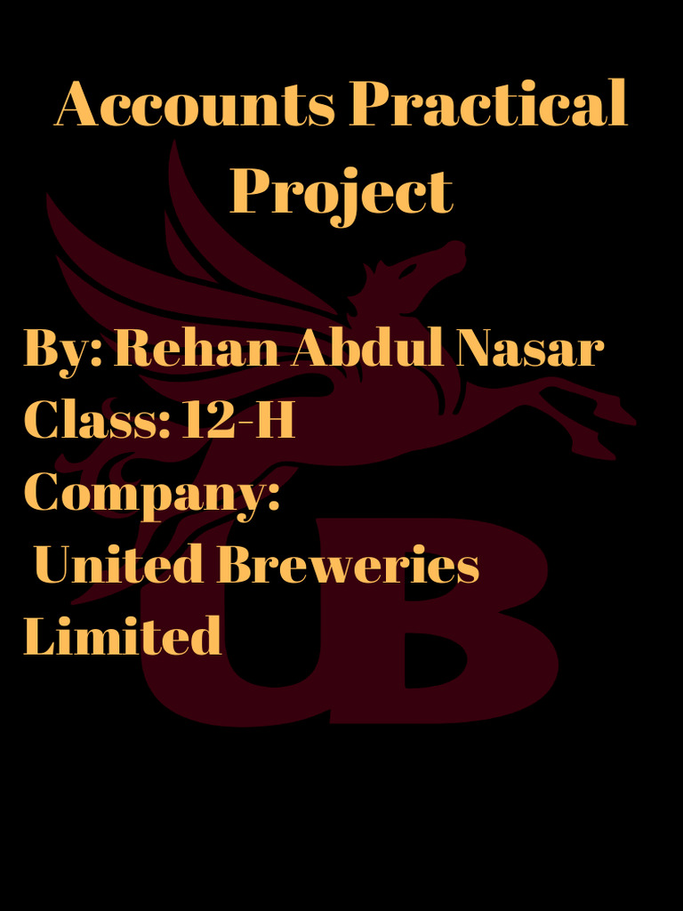 Accounts Practical Project | PDF