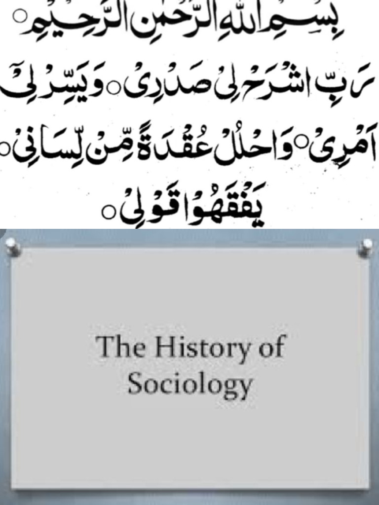 History of Sociology | PDF