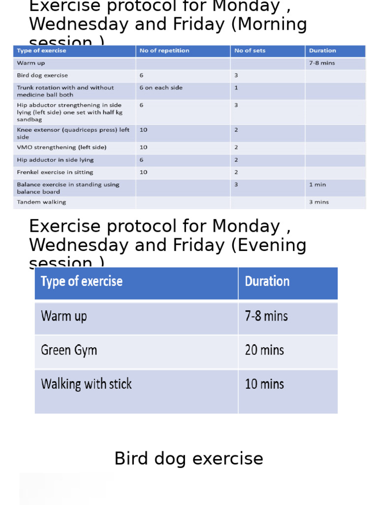 Exercise Protocol | PDF