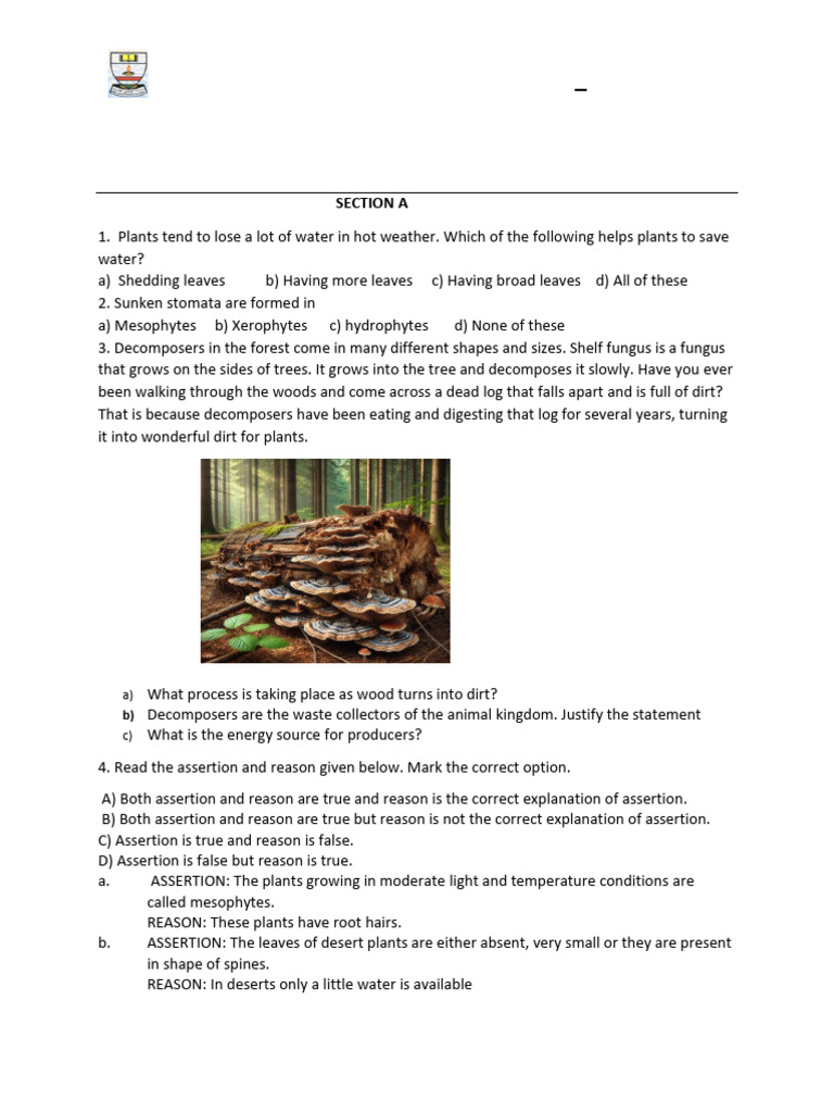 Pa 2-Revision WS - Living Organisms | PDF | Foods | Leaf