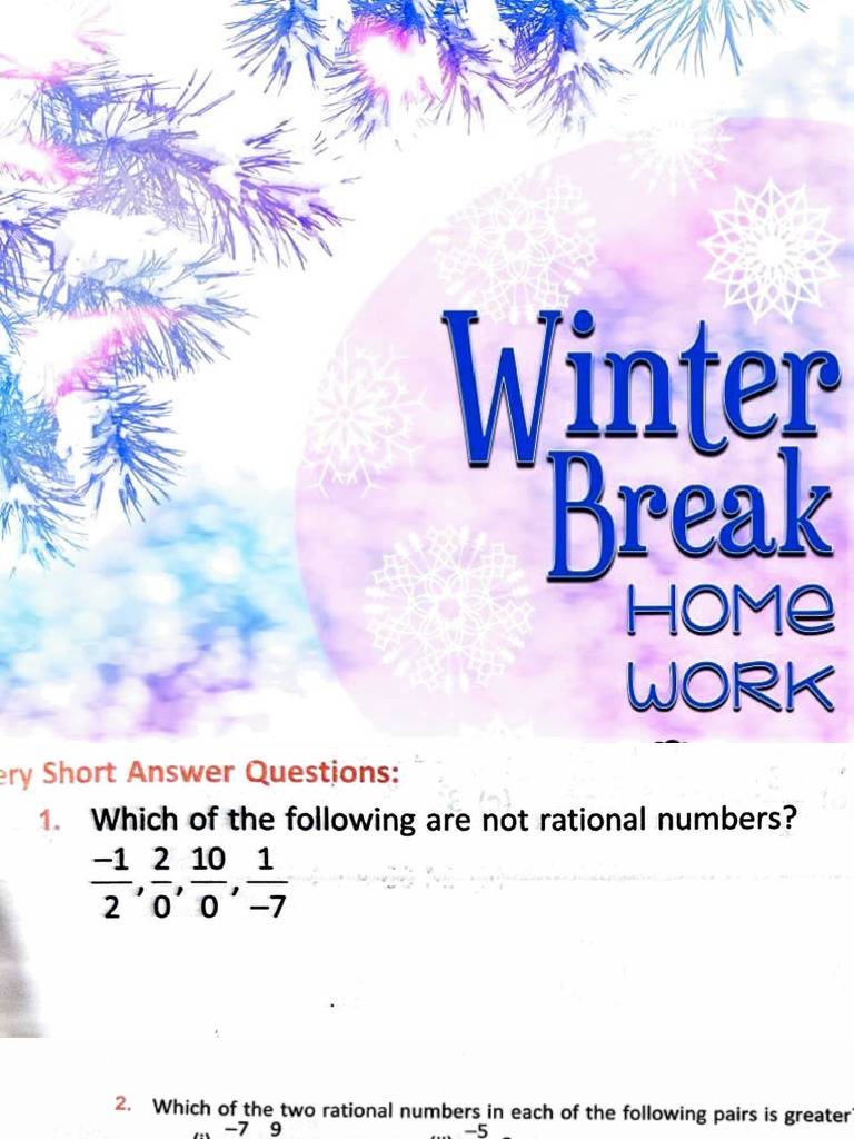 Class VIIth Winter Break H.W.bhow Bhow Bhow Bhow | PDF | Rational ...