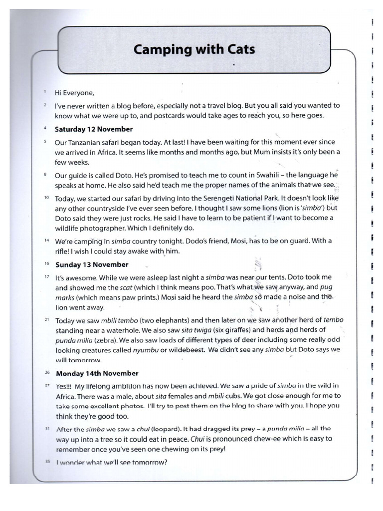 Year 4 Home Reading Comprehension Drill Pack 2 | PDF