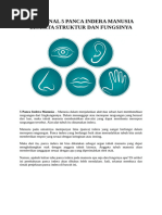 Bahan Ajar Panca Indera IPAS Kelas IV SD | PDF