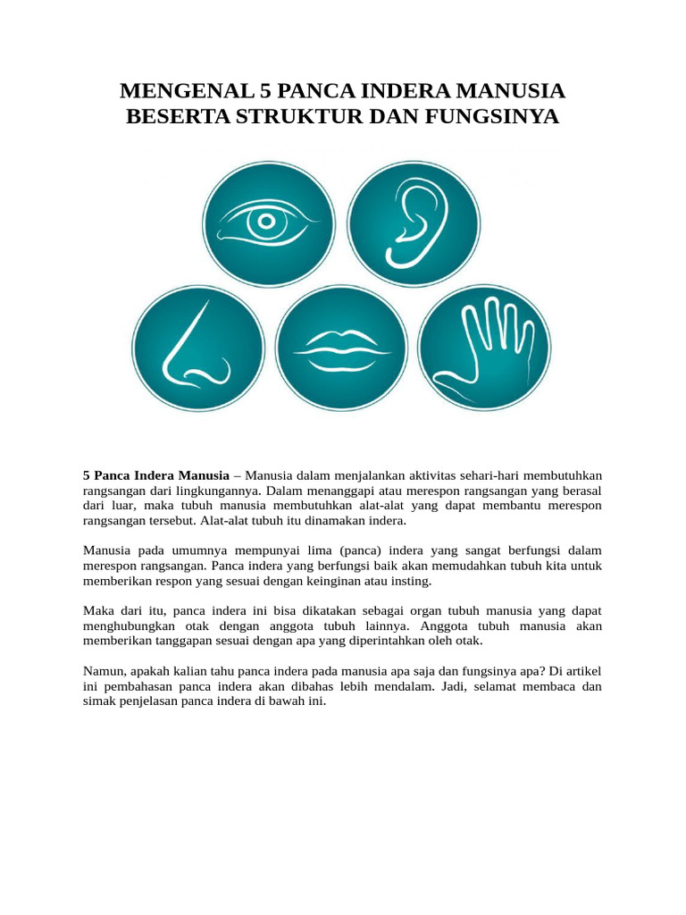 "5 Panca Indera: Struktur & Fungsi" | PDF