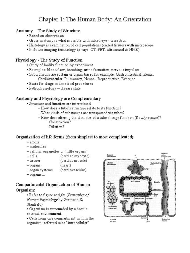 Chapter 1: The Human Body: An Orientation: Anatomy - The Study of ...