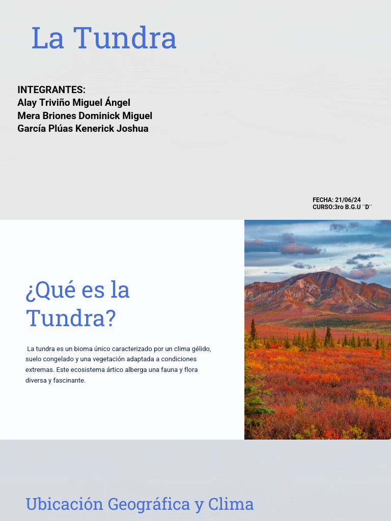 La Tundra | PDF | Ecología | Entorno natural