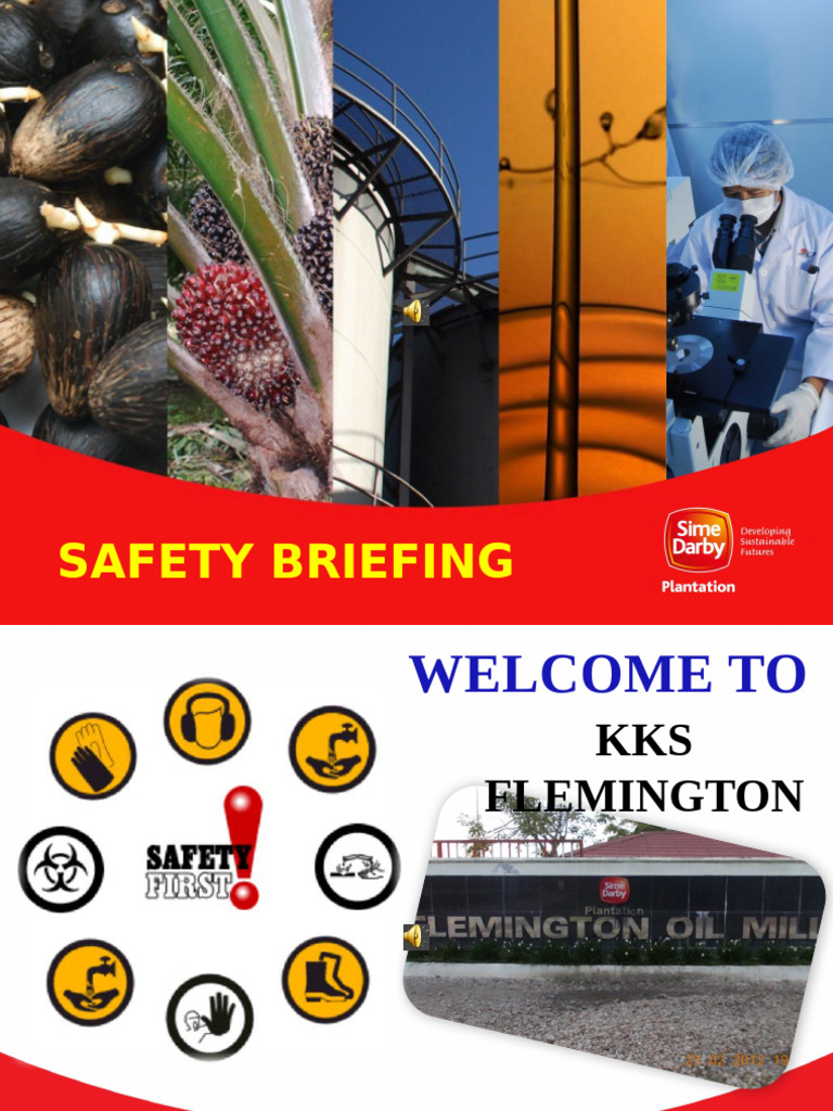 Safety Briefing | PDF