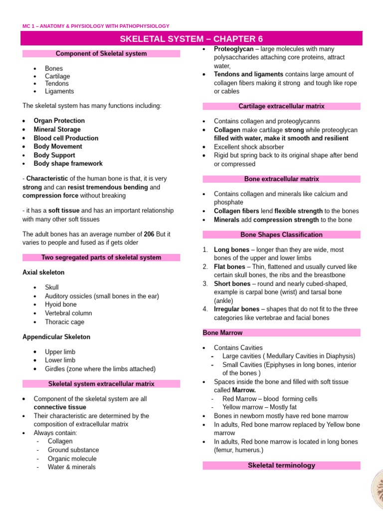 Skeletal System Overview | PDF | Bone | Skeleton