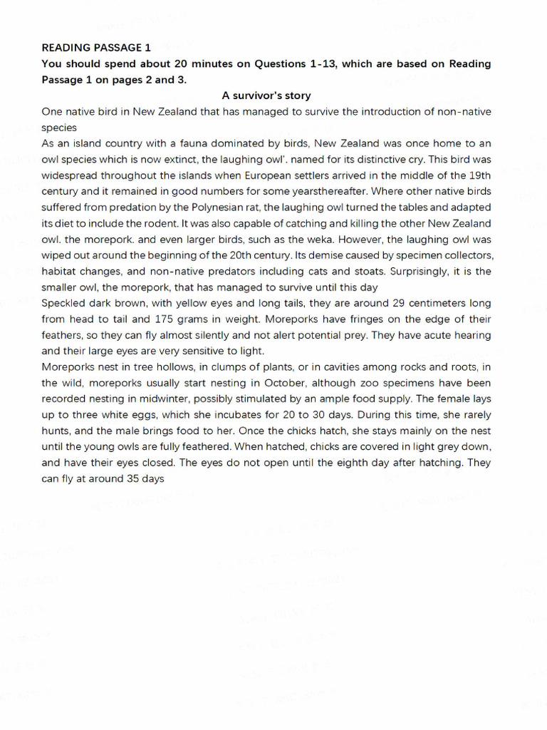 A Survivor's Story | PDF