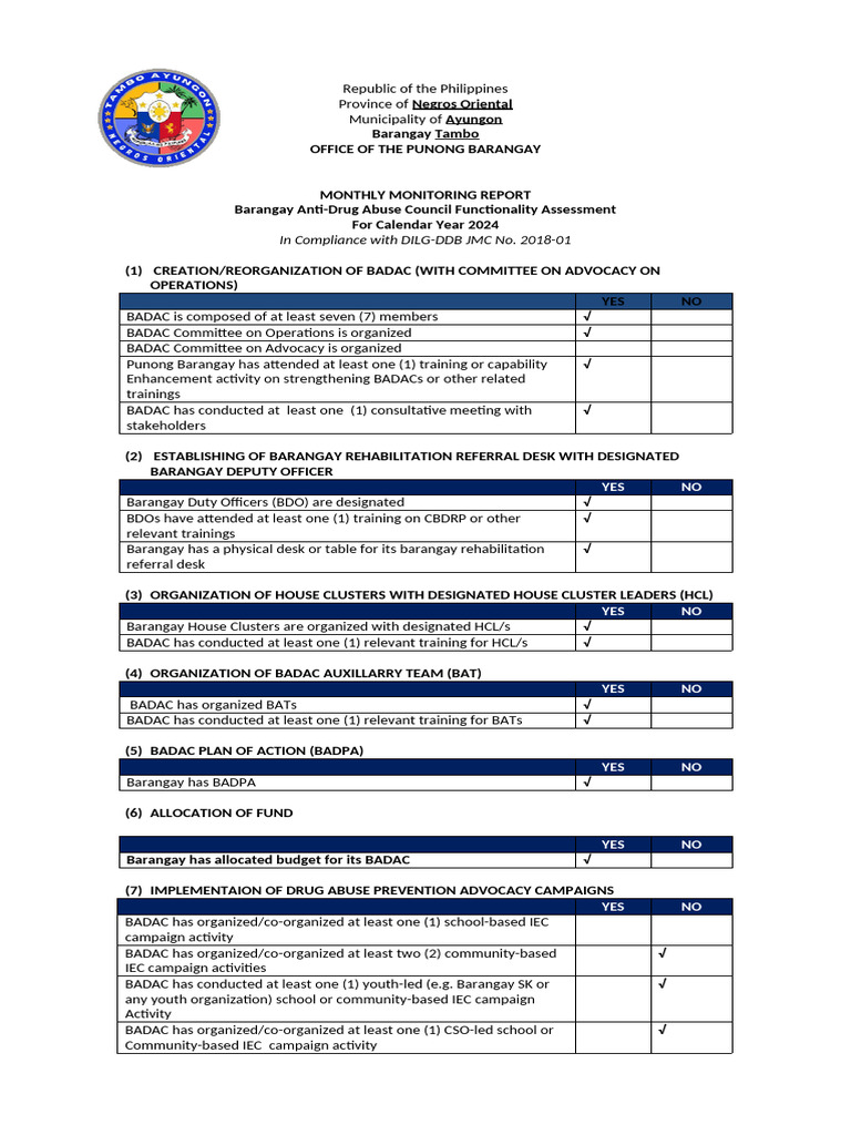 Monthly Monitoring Report Dilg Badac | PDF | Justice | Crime & Violence