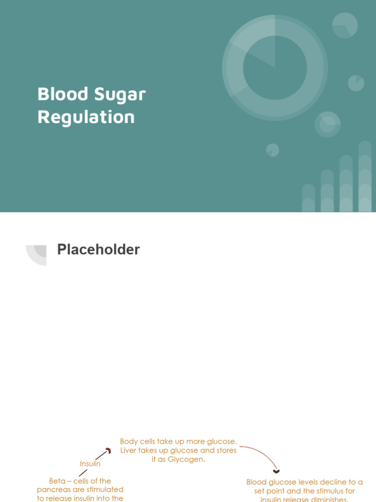 Blood Sugar Regulation | PDF | Insulin | Glucose