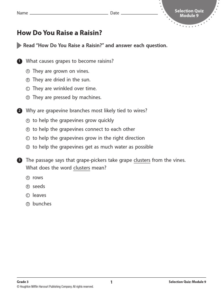 How to Raise a Raisin: Quiz & Guide | PDF