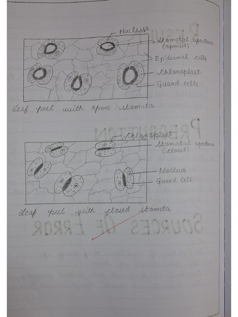 Biology Experiment | PDF