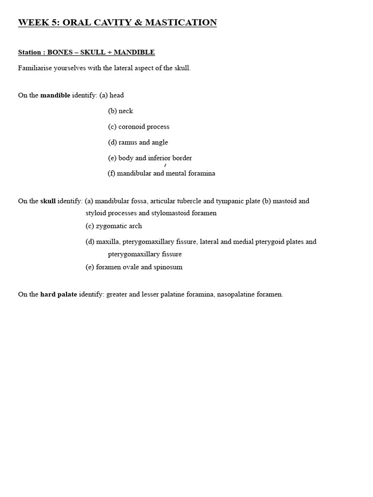 AY2023-24 Year 1 Semester 1 V 31 July 2024 | PDF | Tongue | Bone
