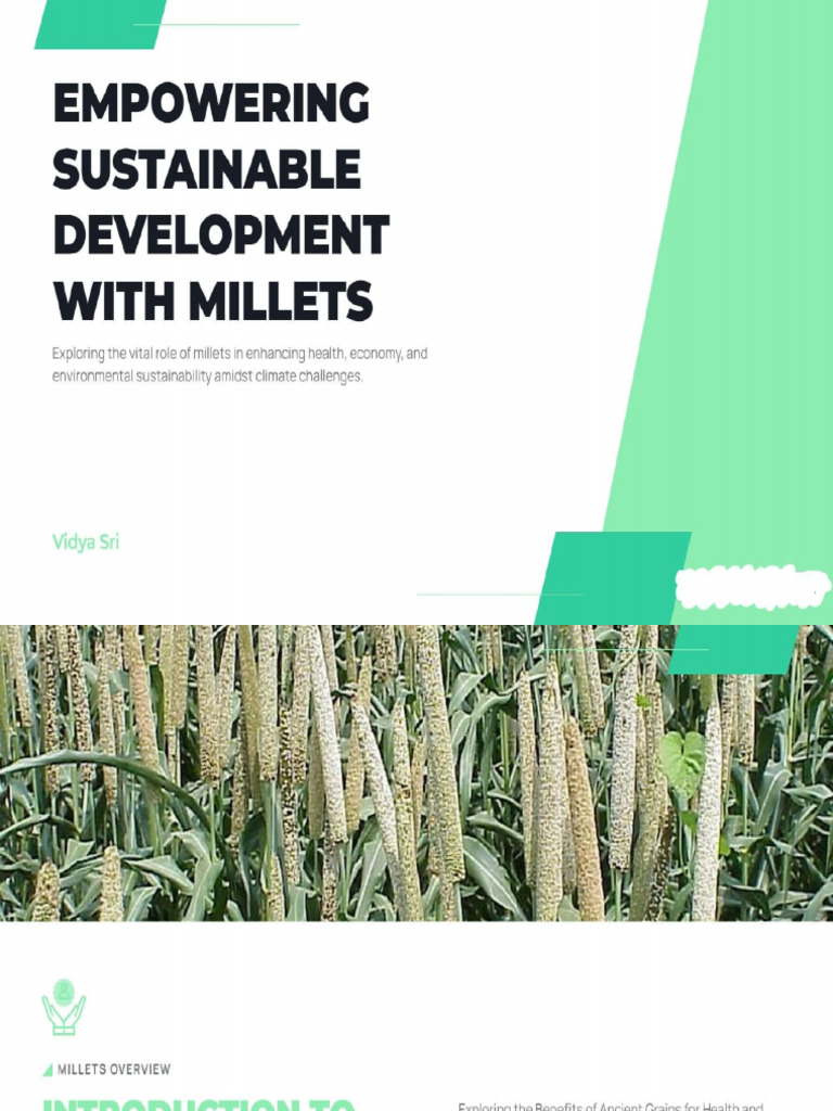 Millets Presentation With Images | PDF