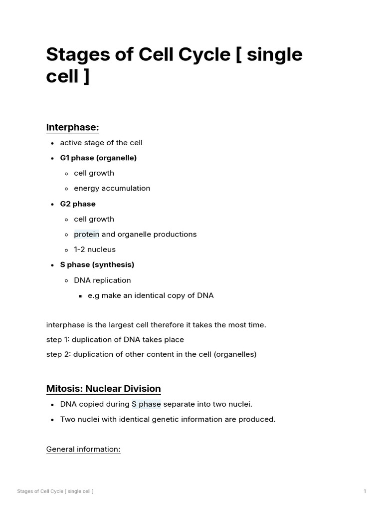 Stages of Cell Cycle Single Cell | PDF | Mitosis | Cell Cycle