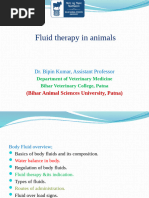 2024 AAHA Fluid Therapy Guide | PDF