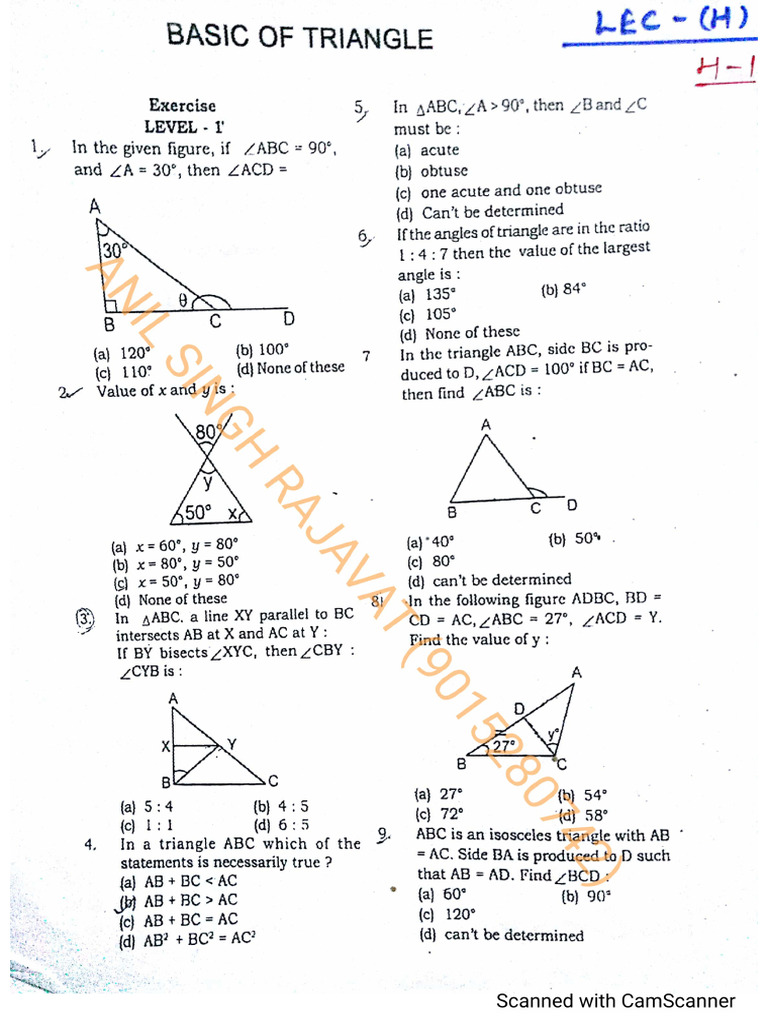 Basics of Triangles PM | PDF