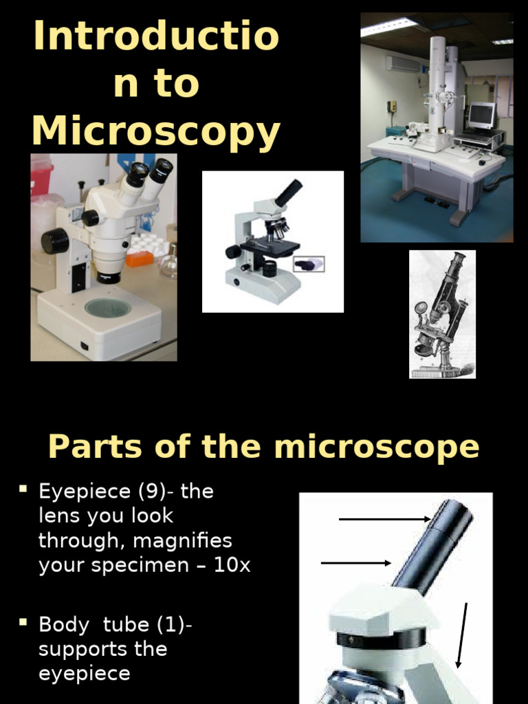 Introduction To Microscopes | PDF | Scientific Techniques | Equipment