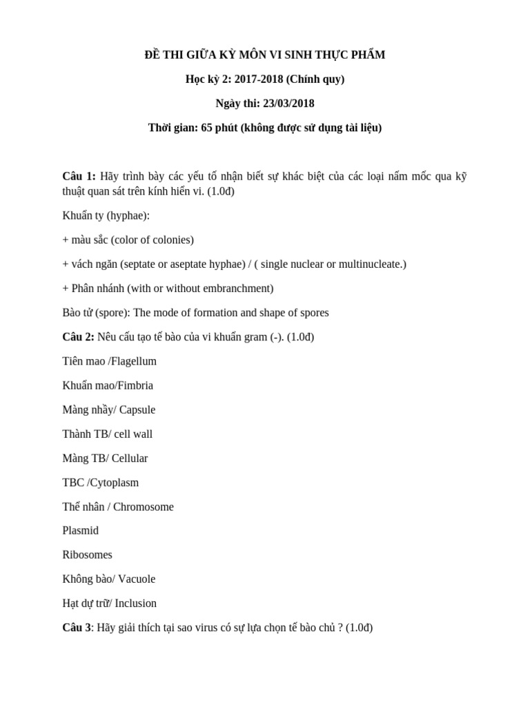 GK K16 Giua Ky Dap An | PDF