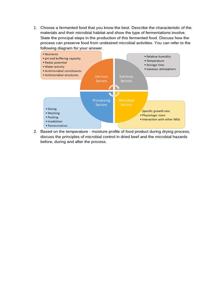 Final Exam Part 2 | PDF