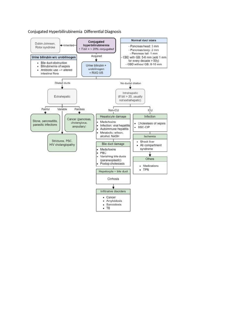 Conjugated Hyperbilirubinemia Differential Diagnosis | PDF