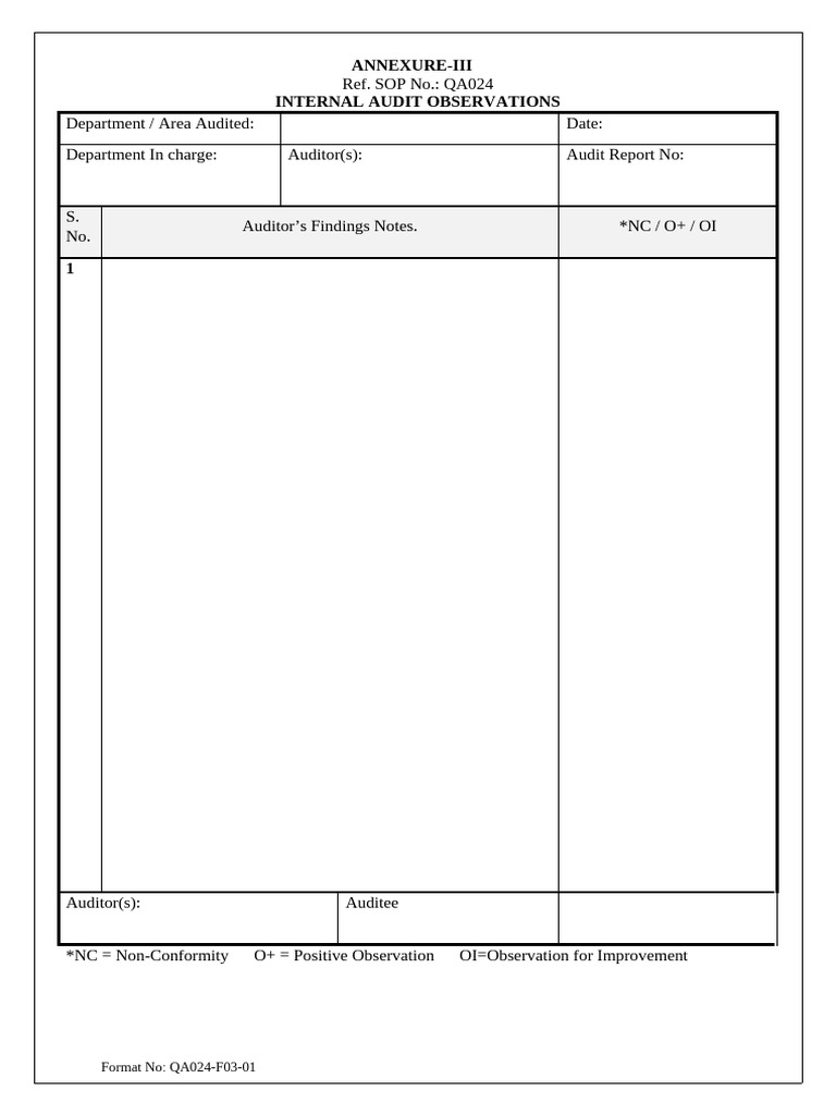 Annexure III Internal Audit Observations | PDF