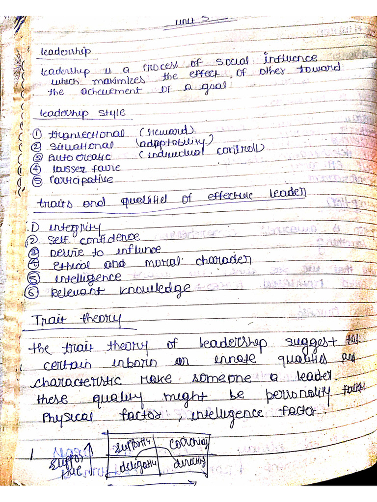 Leadership Style Team Building | PDF