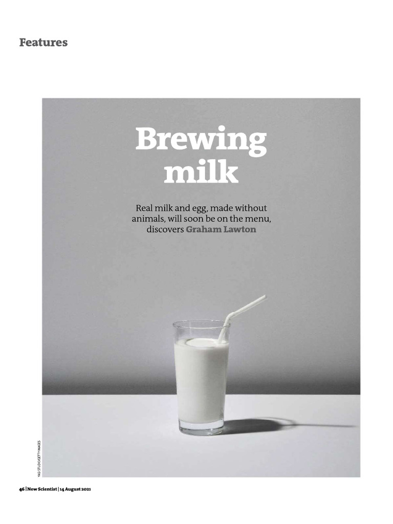 Brewing Milk | PDF