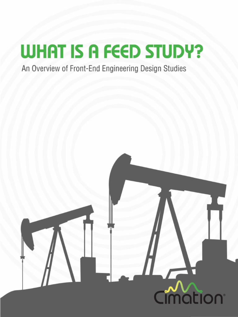 What_is_a_FEED_Study | PDF | Safety | Reliability Engineering