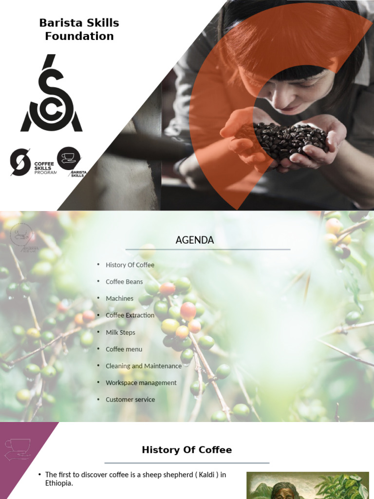 Essential Barista Skills Guide | PDF | Coffee | Drink
