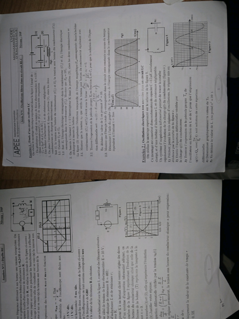 PDF_Phoenix_20241231_112619 | PDF