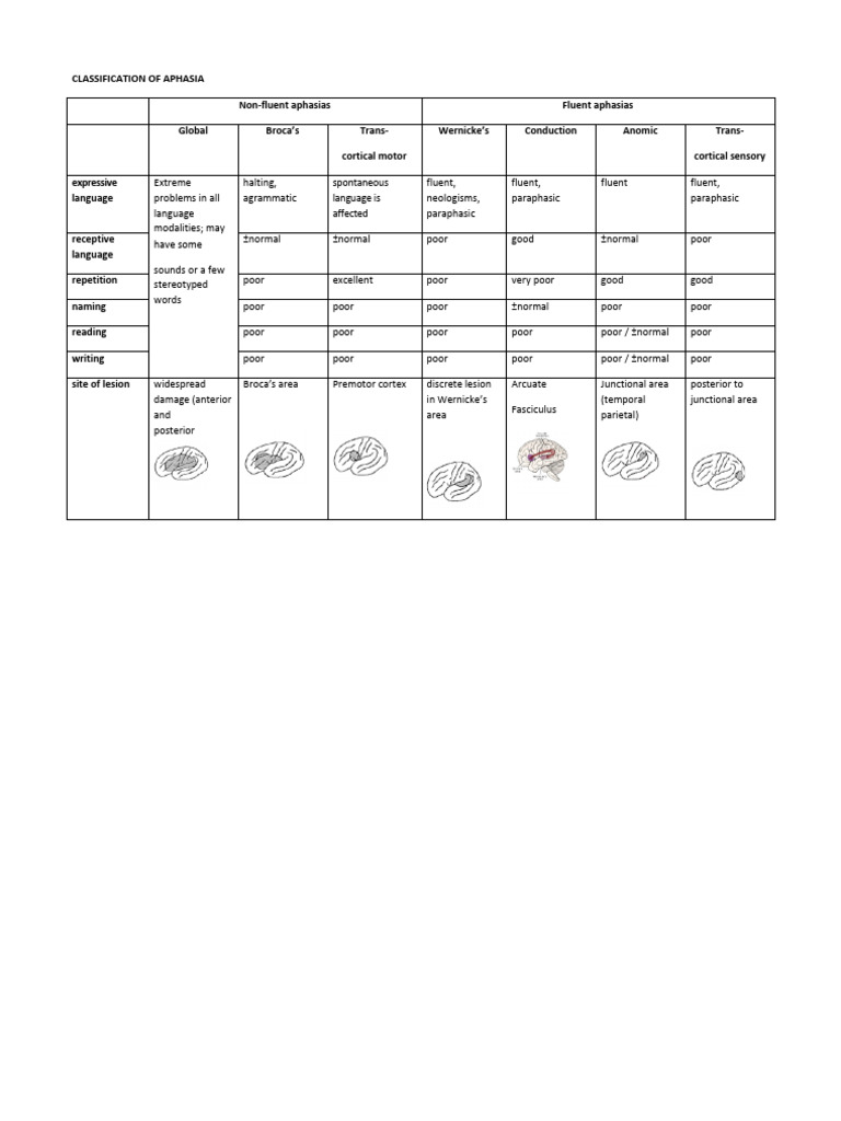 Classification of Aphasia | PDF