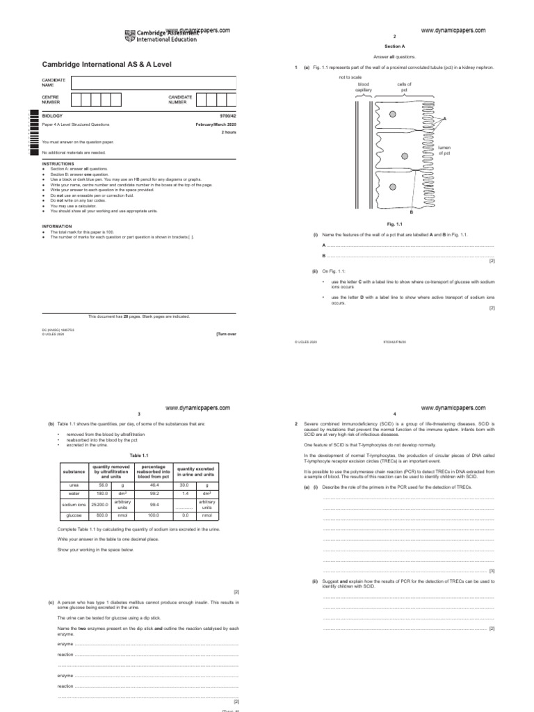 9700_m20_qp_42 | PDF | Dominance (Genetics) | Allele