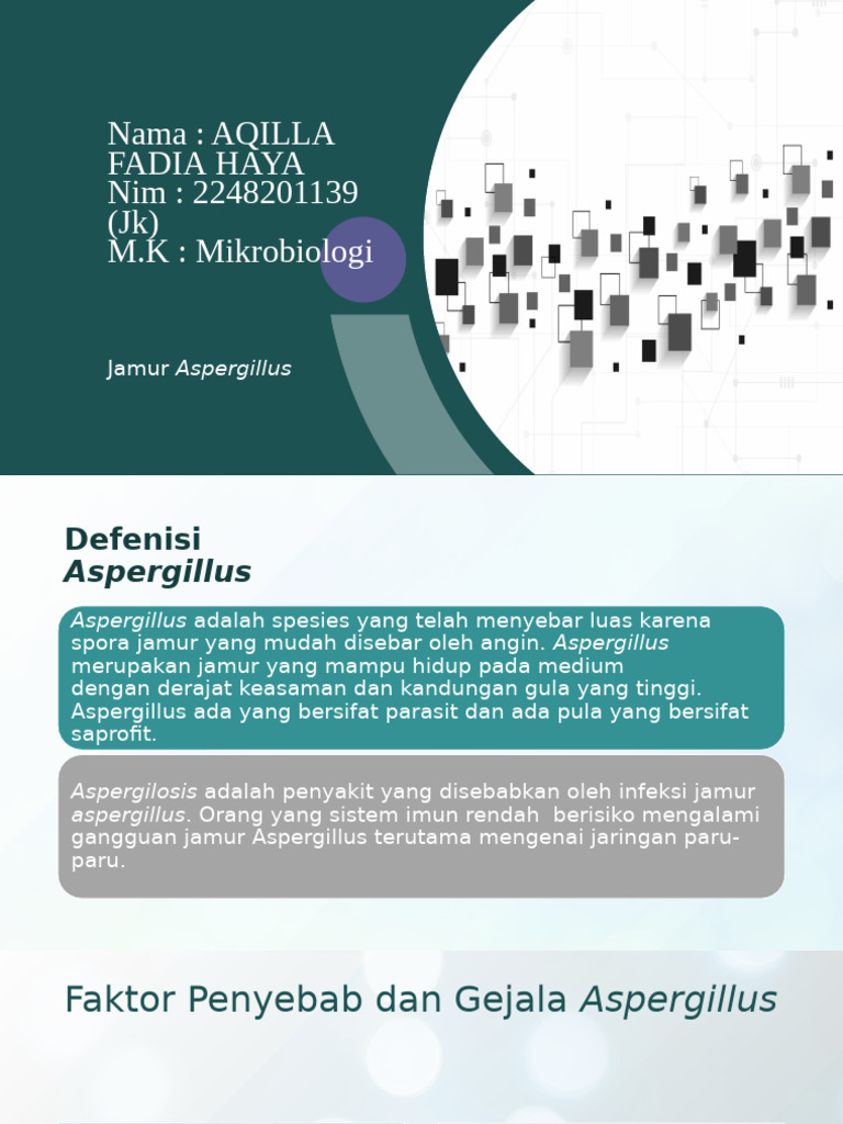 Mikrobiologi Aspergillus Aqilla Fadia Haya (2248201139) | PDF