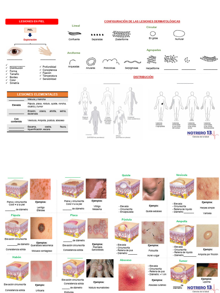 Configuración y Tipos de Lesiones Cutáneas | PDF | Piel | Enfermedades ...