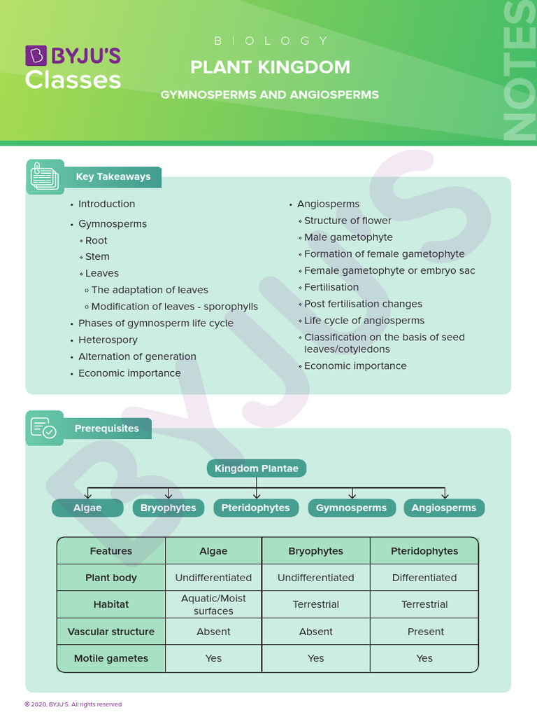 Gymnosperms and Angiosperms Overview | PDF | Fertilisation | Reproduction