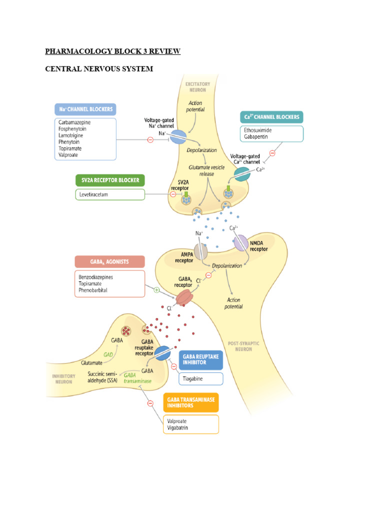 Pharmacology Block 3 Quiz Review | PDF | Antidepressant | Selective Serotonin Reuptake Inhibitor