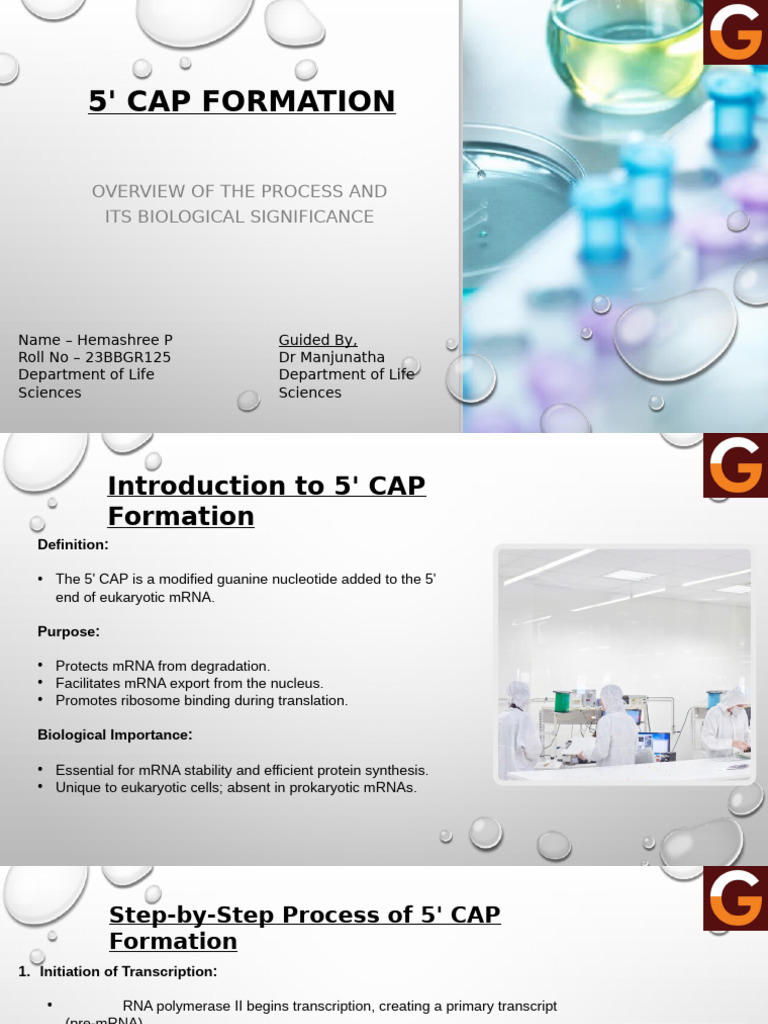 cap | PDF | Messenger Rna | Directionality (Molecular Biology)