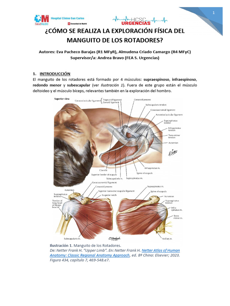 Exploración Del Manguito Rotador Pdf Hombro Codo