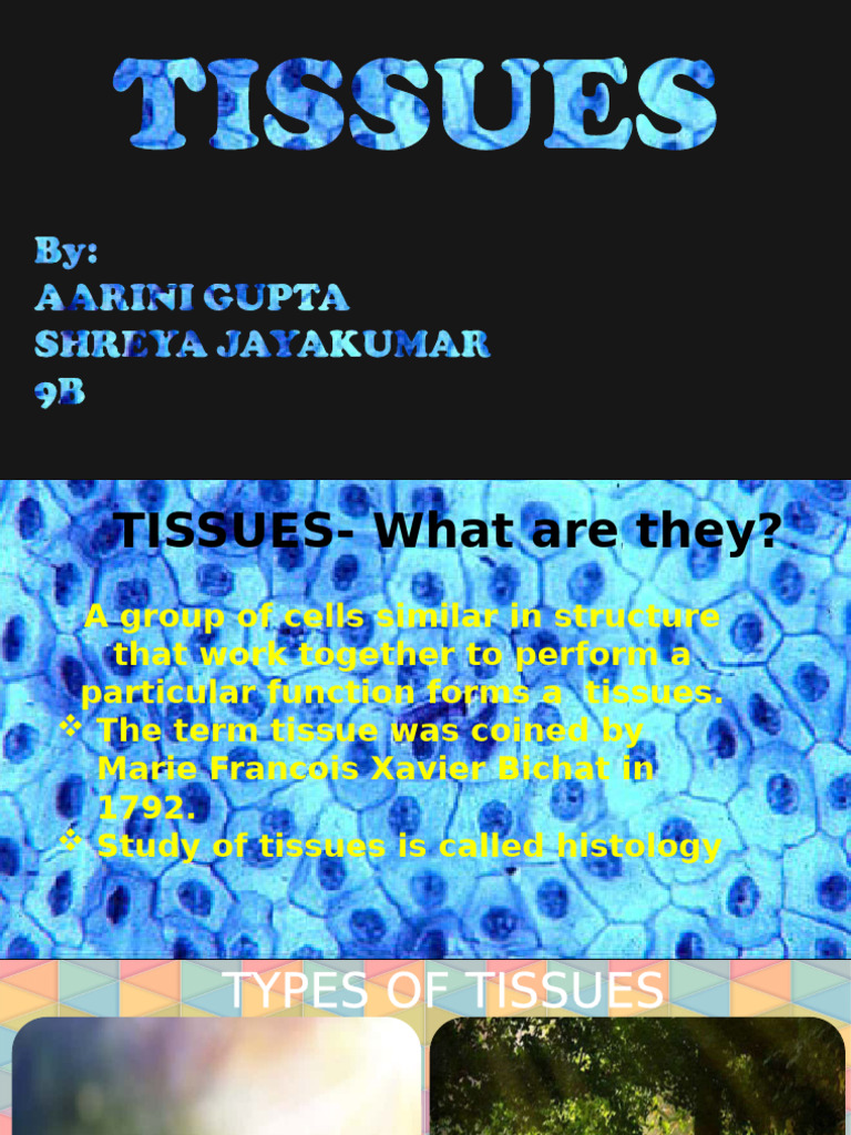 TISSUES (1) | PDF | Epithelium | Tissue (Biology)
